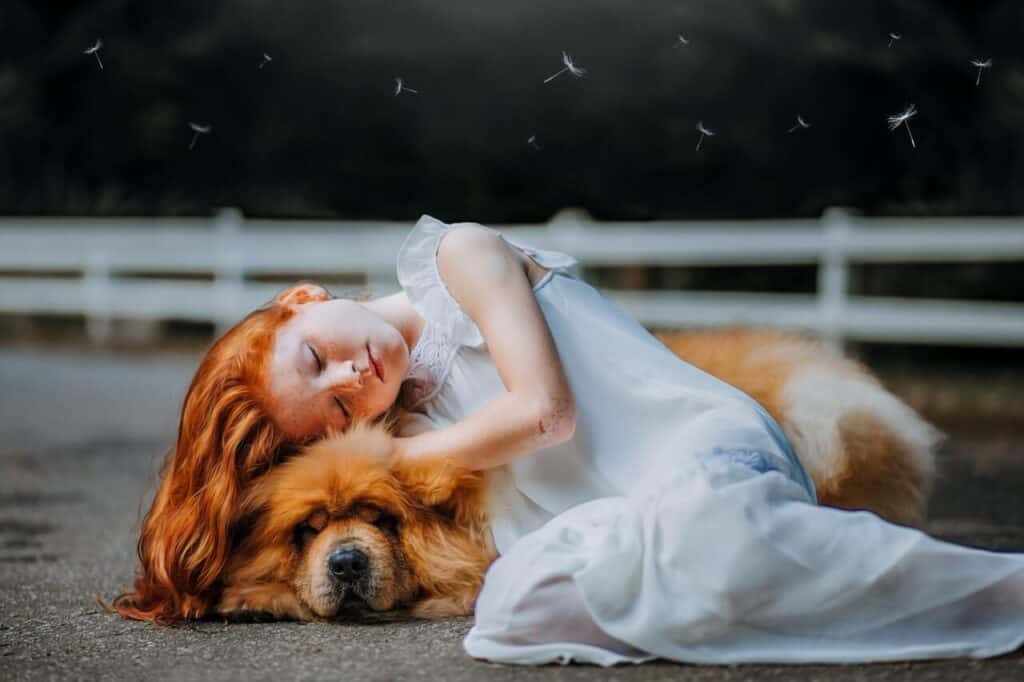 Is Meditation With Dogs Good For People? - Tail Wag Wisdom