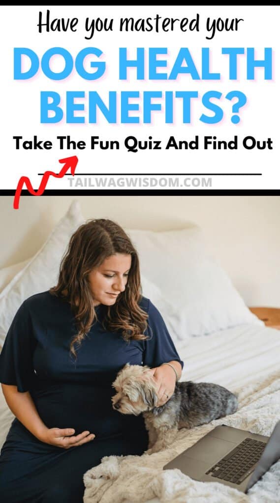 Great Exercises With Dogs - Tail Wag Wisdom