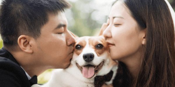 20 Ultimate Best Tips For New Dog Parents
