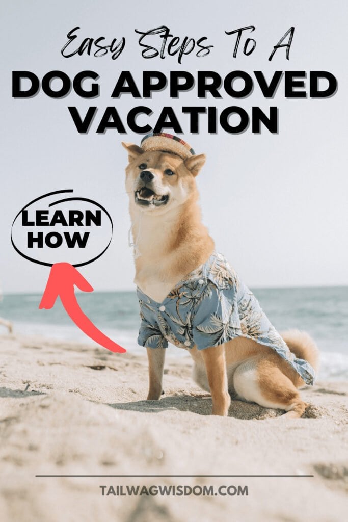 Easy dog friendly vacation guide tips - Tail Wag Wisdom