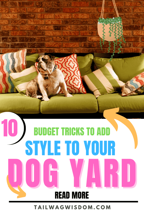 10 Off-Season Ways to Style Your Dog Yard