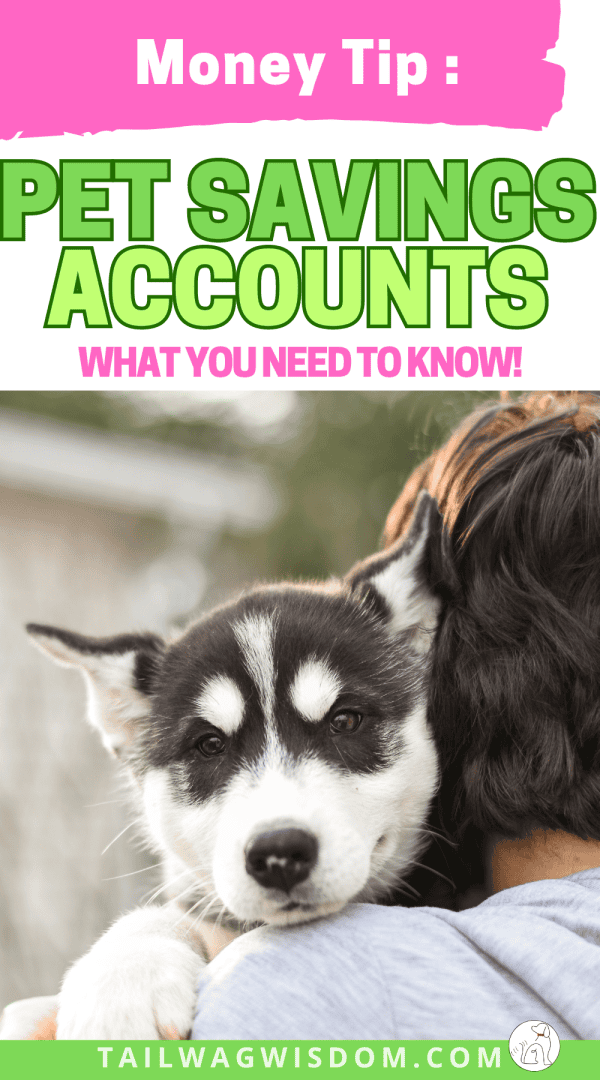 My Dog Loves His Pet Savings Account. Surprised? 🐶💰