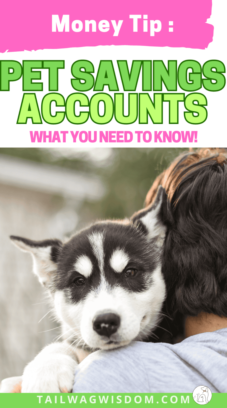 My Dog Loves His Pet Savings Account. Surprised? 🐶💰