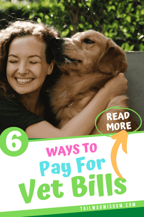 6 Cool Ways Dog Parents Pay For Vet Bills