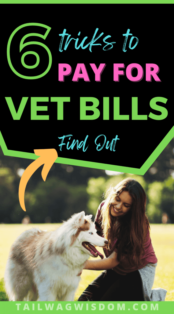 6 Cool Ways Dog Parents Pay For Vet Bills