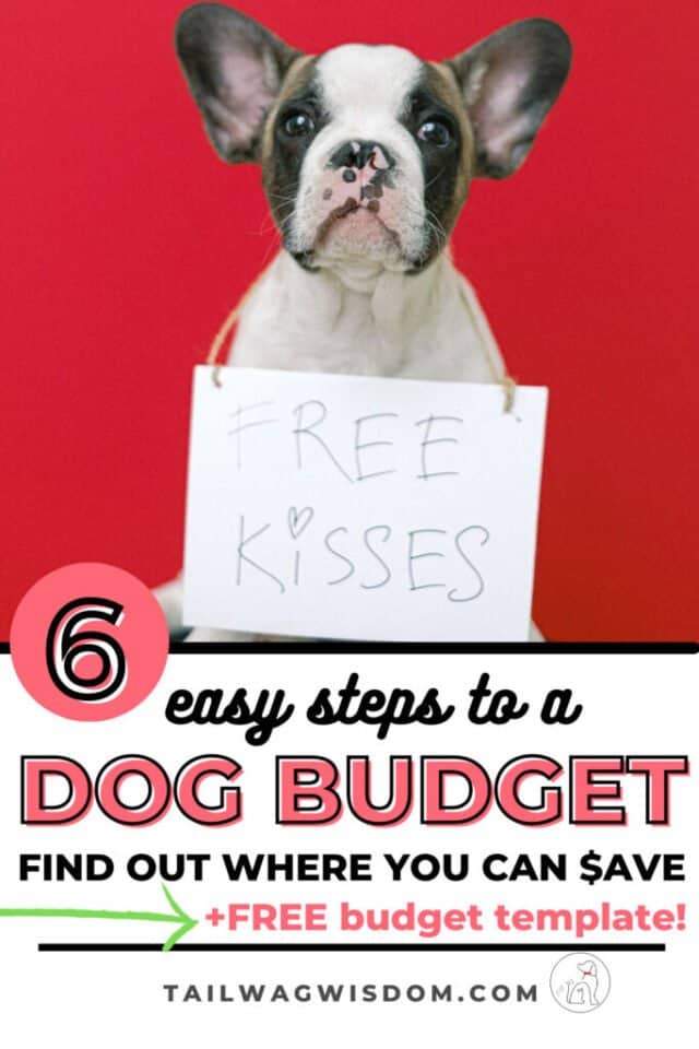 Steps To Build A New Dog Budget - Tail Wag Wisdom 🐶💰🐾