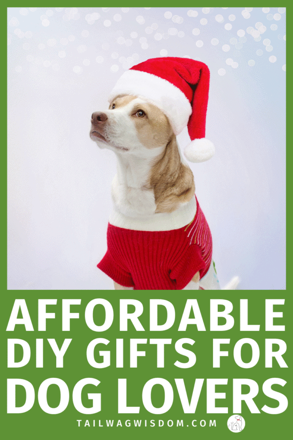 11 DIY Gifts for Dog Parents That Are Easy, Affordable, and Heartfelt