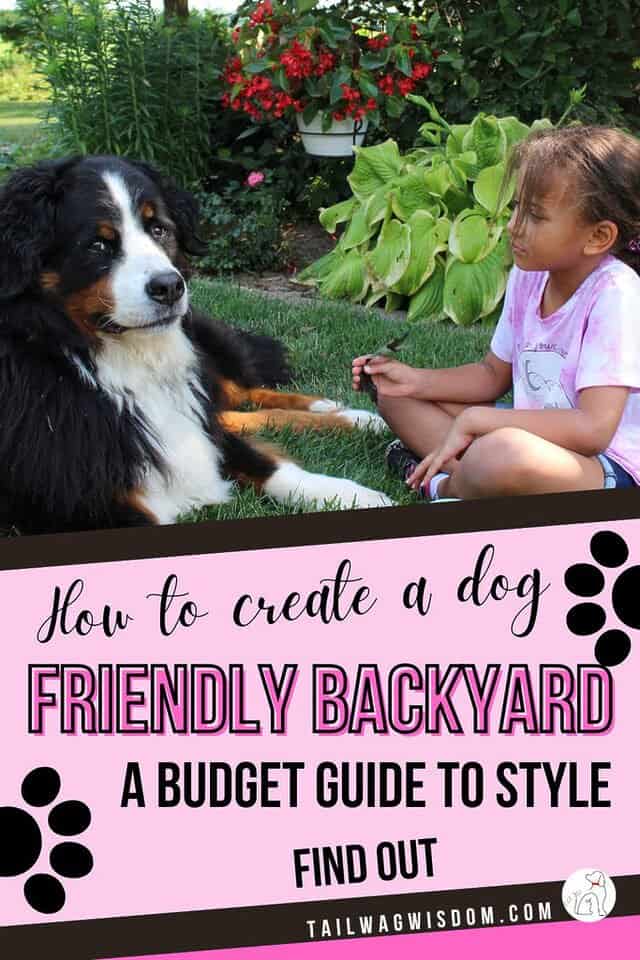 A Dog Friendly Backyard on a Budget - Tail Wag Wisdom 🐶🌼💰