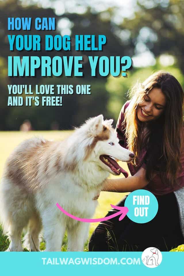 Can You Improve Your Life By Doing Therapy With Your Dog?