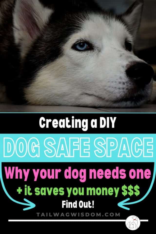 Creating Dog Safe Spaces: Easy and Cheap