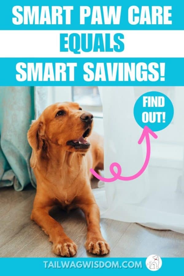 Can Healthy Dog Paws Improve Your Bottomline?Tail Wag Wisdom