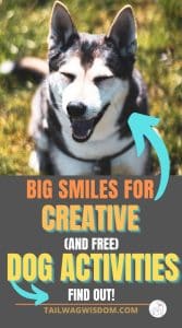 5 Free, Unusual, And Fun Dog Activities
