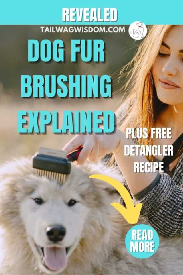 Easy Home Dog Fur Brushing Solution - Tail Wag Wisdom 🏡🐾