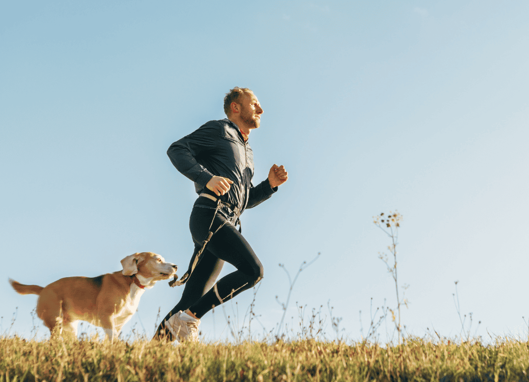 Easy 15 Ways to Strengthen Your Dog's Immunity 🐶