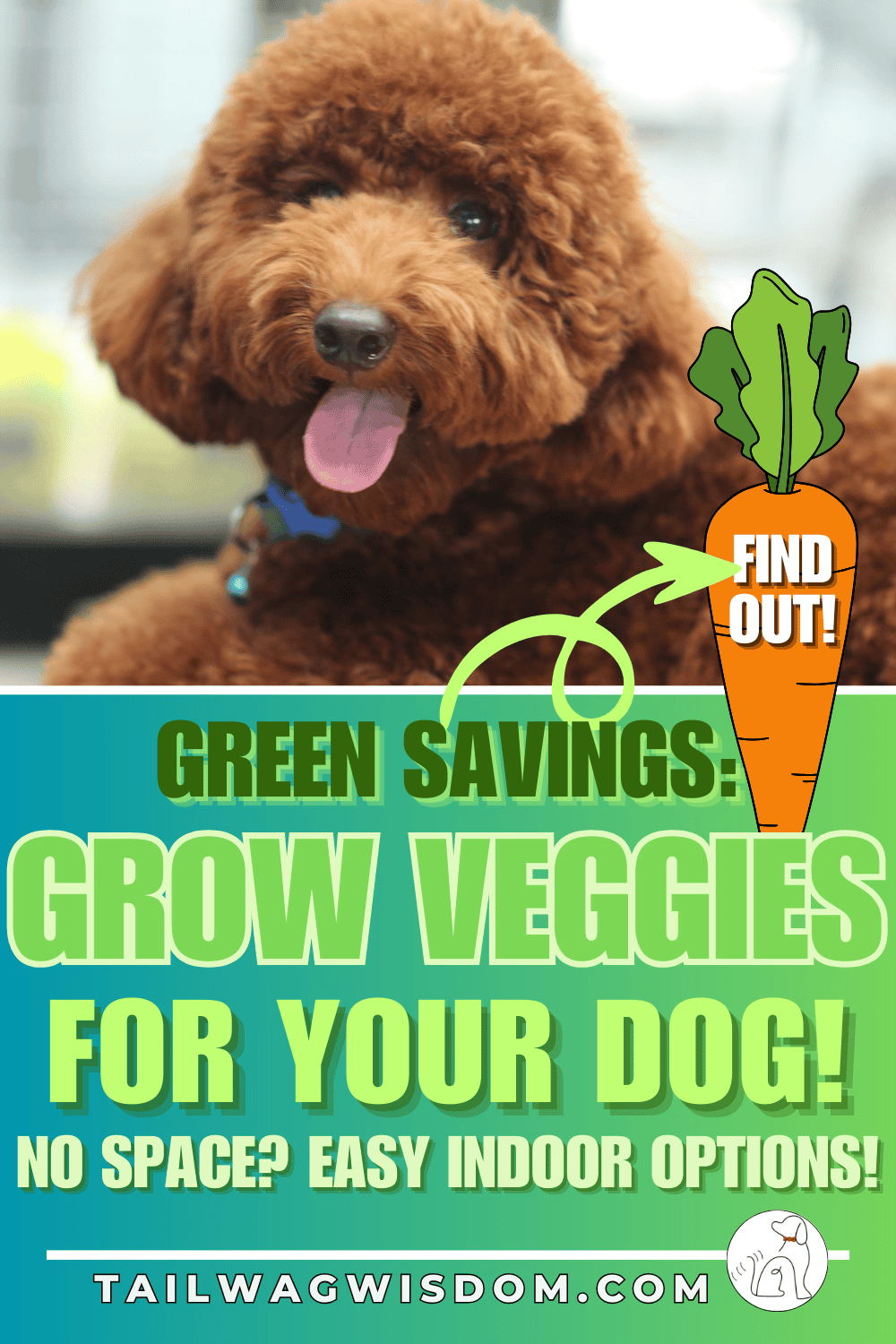 Save by Easily Growing Veggies for Dogs!