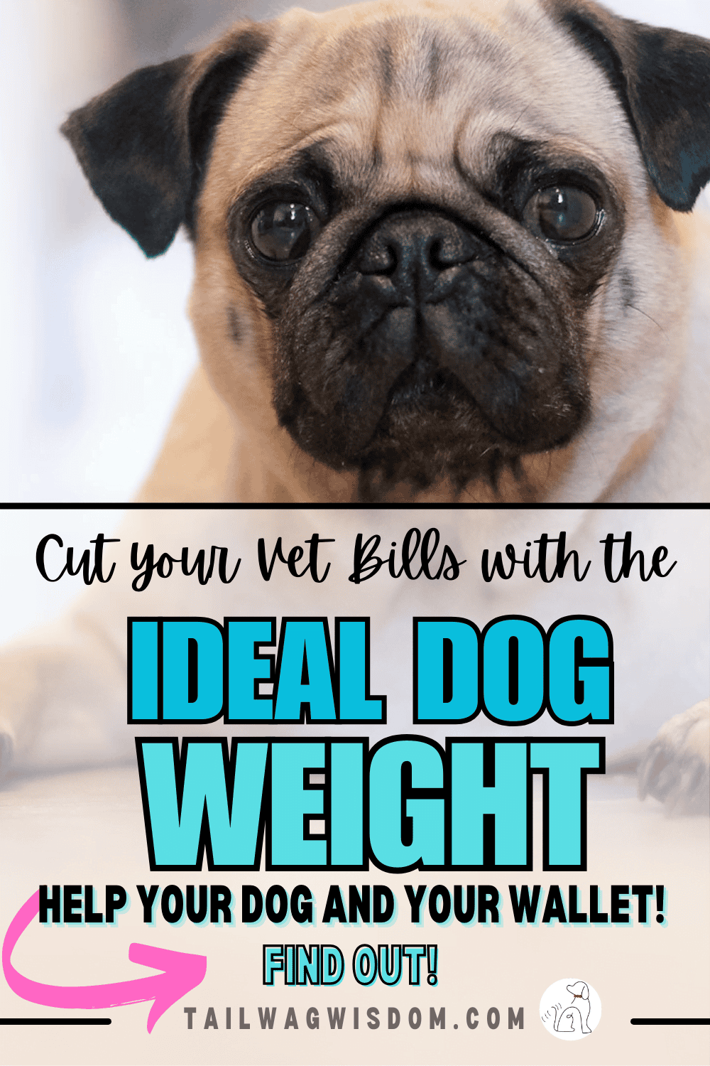 Yes! Ideal Dog Weight Shape Saves Money