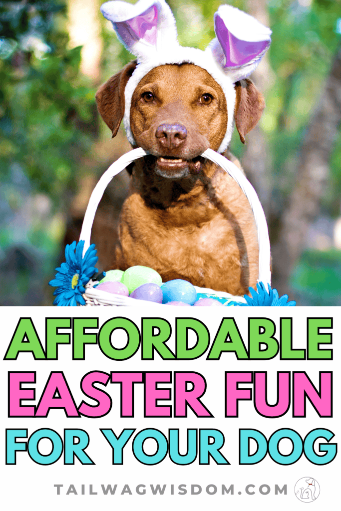 Egg-citing Easter Game For Dogs: Easy and Frugal Fun! Tail Wag Wisdom