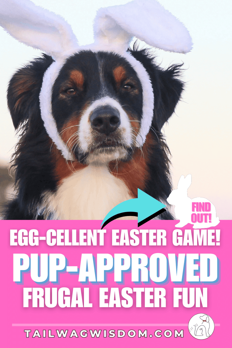 Egg-citing Easter Game For Dogs: Frugal Fun! - Tail Wag Wisdom