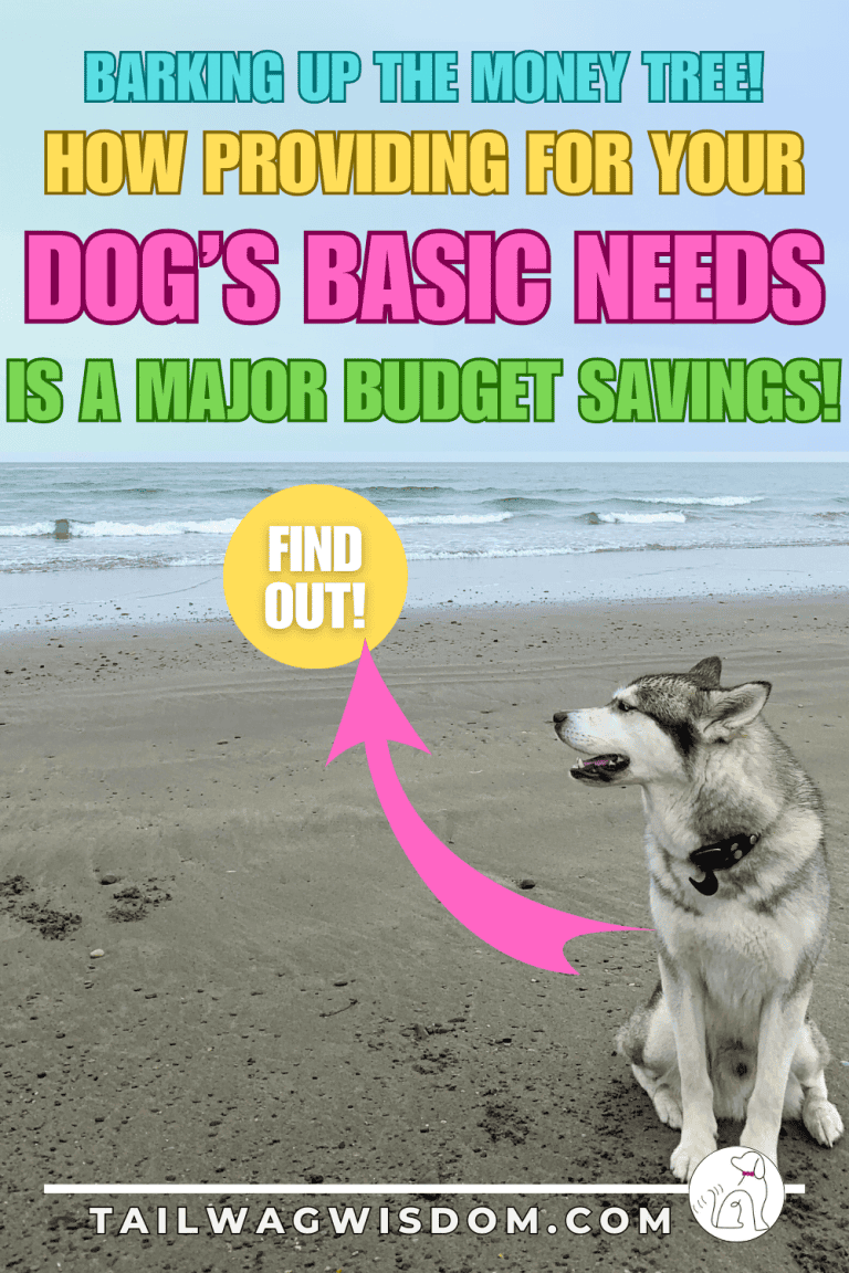 12 Top Basic Dog Needs: Affordable Health! 🐶💰💖