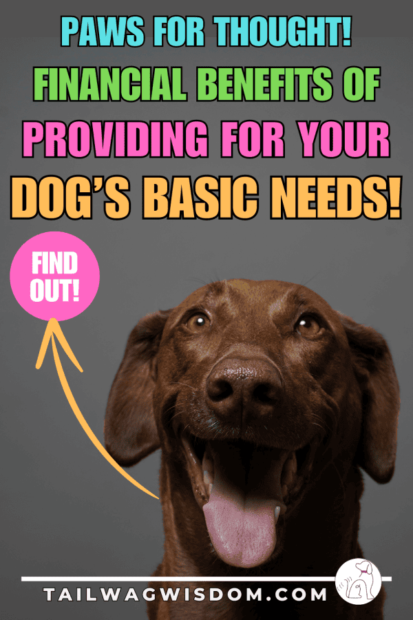 12 Top Basic Dog Needs: Affordable Health! 🐶💰💖