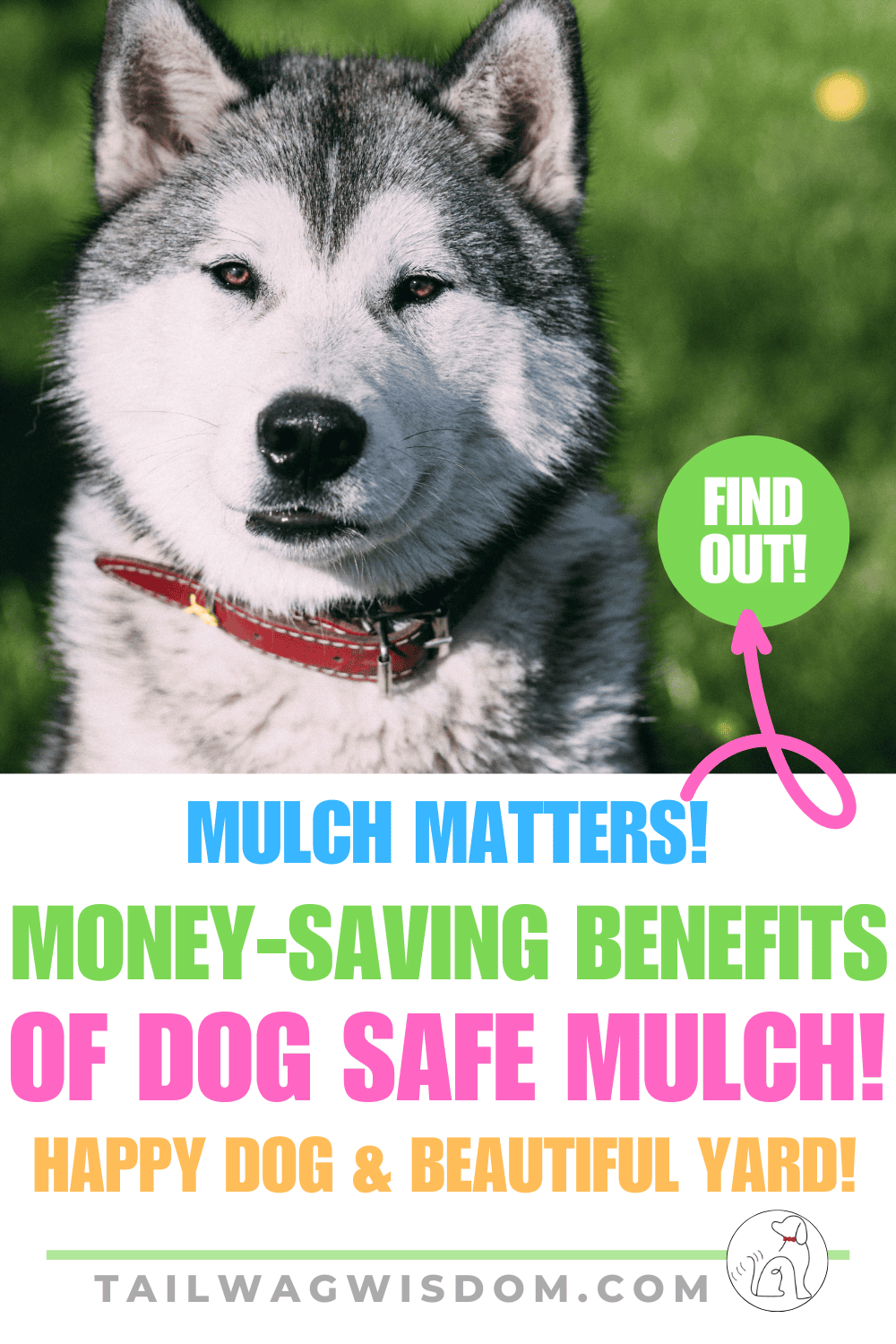 How Does Dog Safe Mulch Save Money? 🐾🐶 - Tail Wag Wisdom