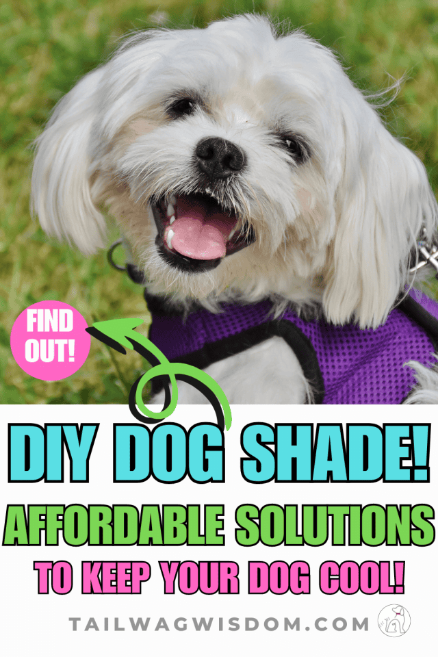 Shady Paws! How Dog Shade Saves Money!