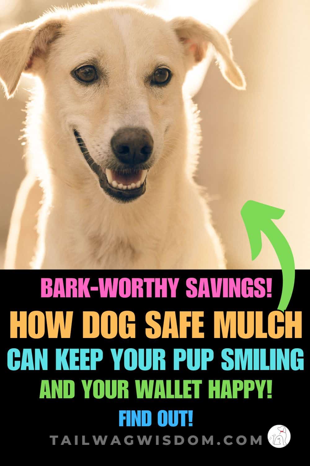 How Does Dog Safe Mulch Save Money? 🐾🐶 - Tail Wag Wisdom