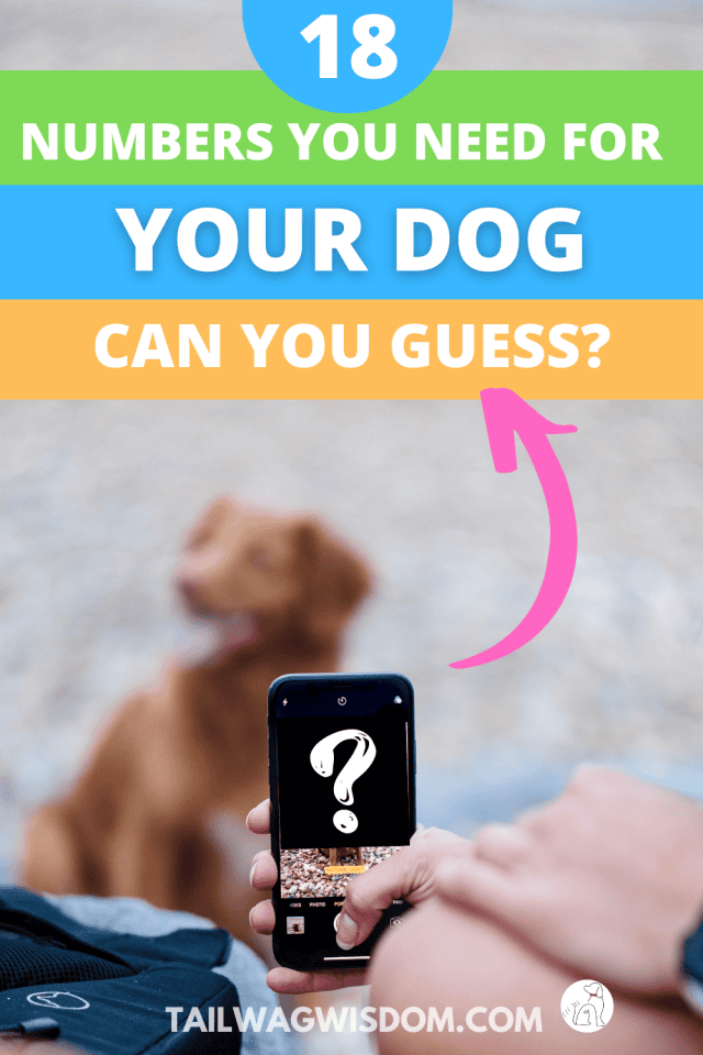 18 Important Dog Parent Phone Numbers