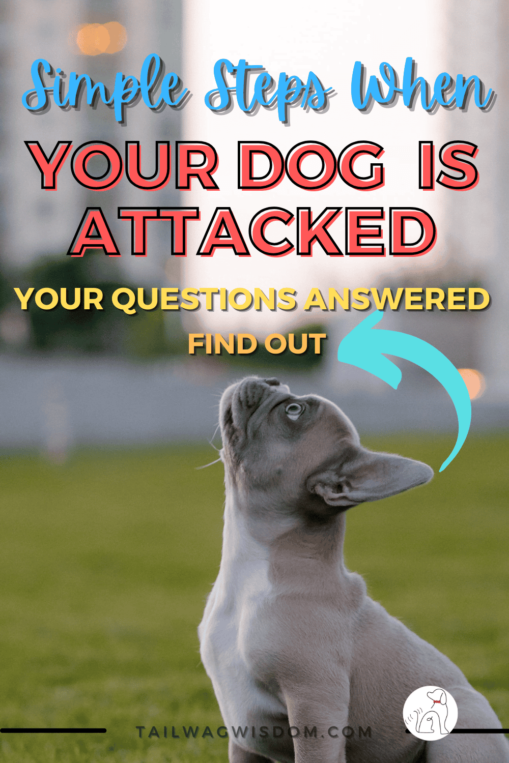 Best Advice When Dogs Attack Your Dog