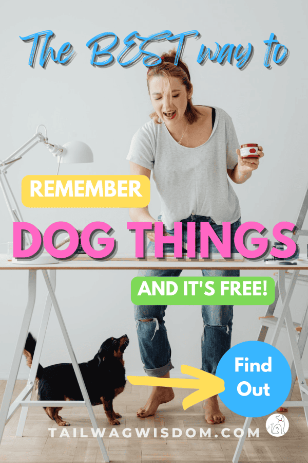 Best Trick to Remember Dog Essentials
