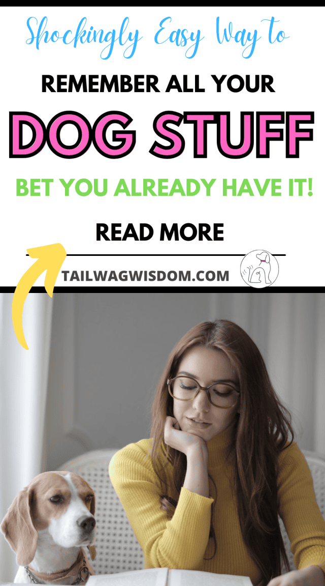 Best Trick to Remember Dog Essentials