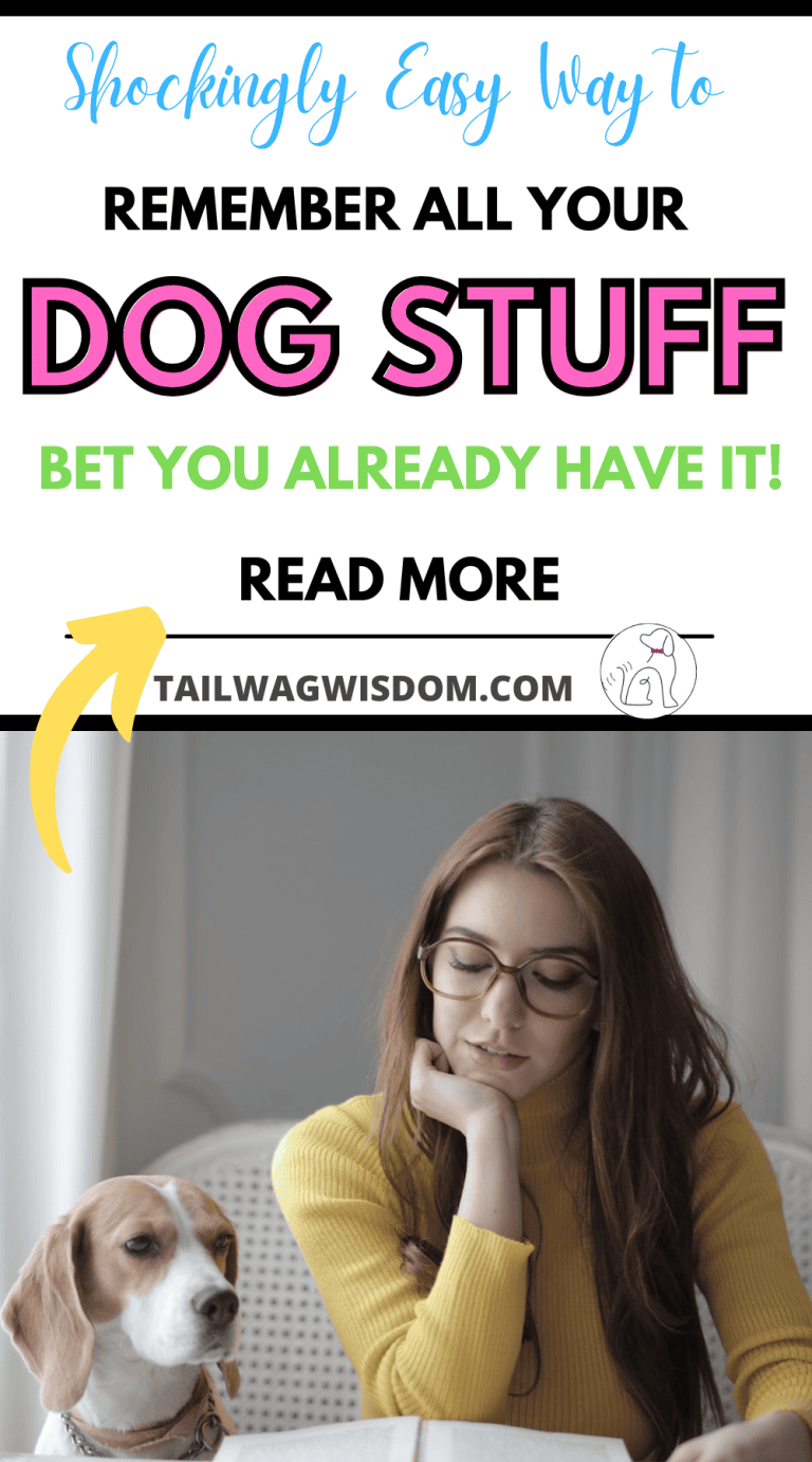 Best Trick to Remember Dog Essentials