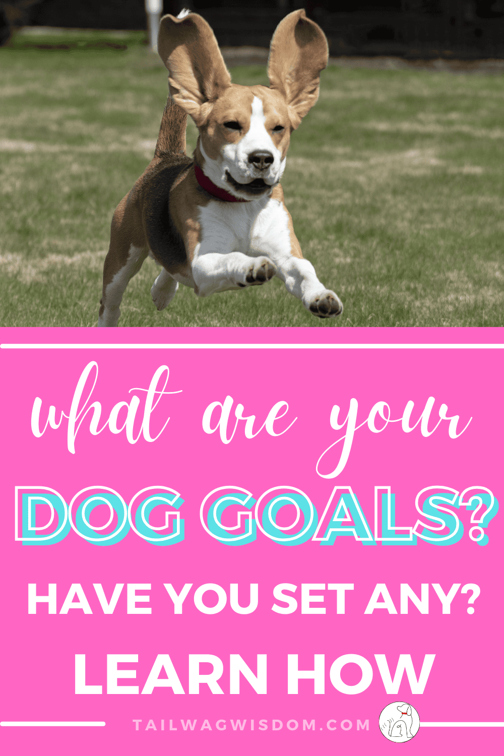 Dog Goals - Yep, You Want Them!