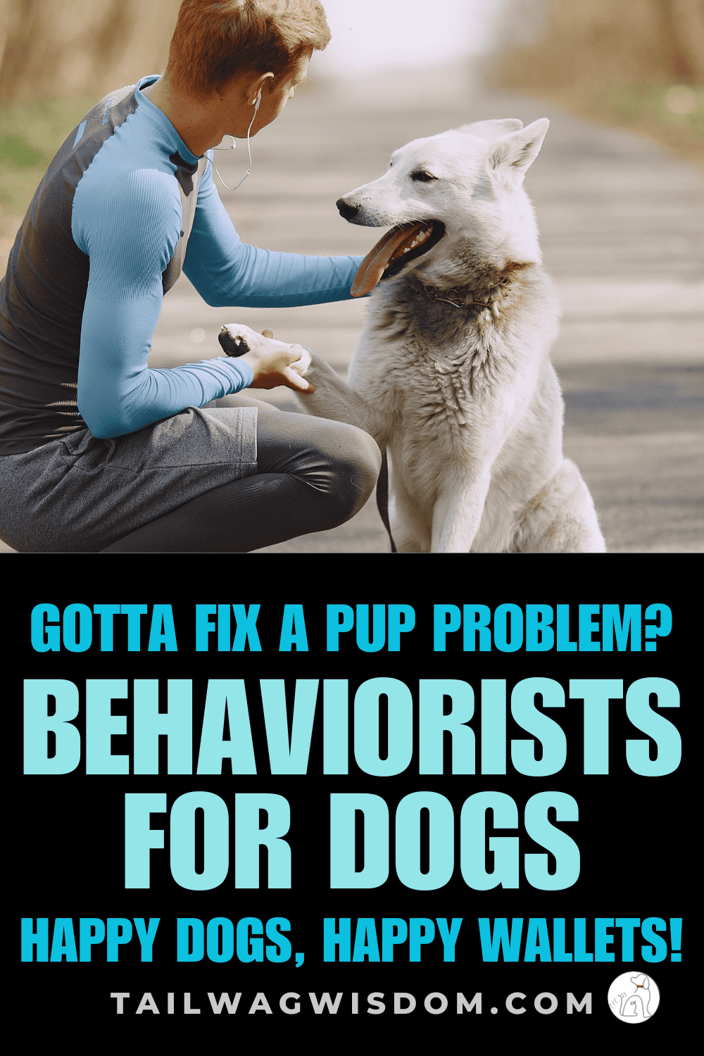 Behaviorists for Dogs: Miracle Workers for Mischievous Mutts