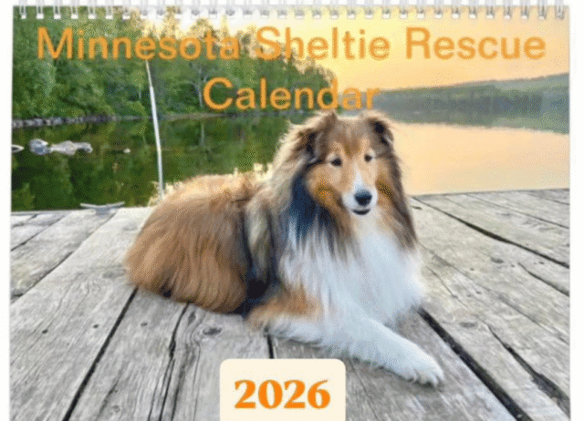 20 Great Dog Lover Gifts That Give Back: Tail-Wagging Treasures with a ...