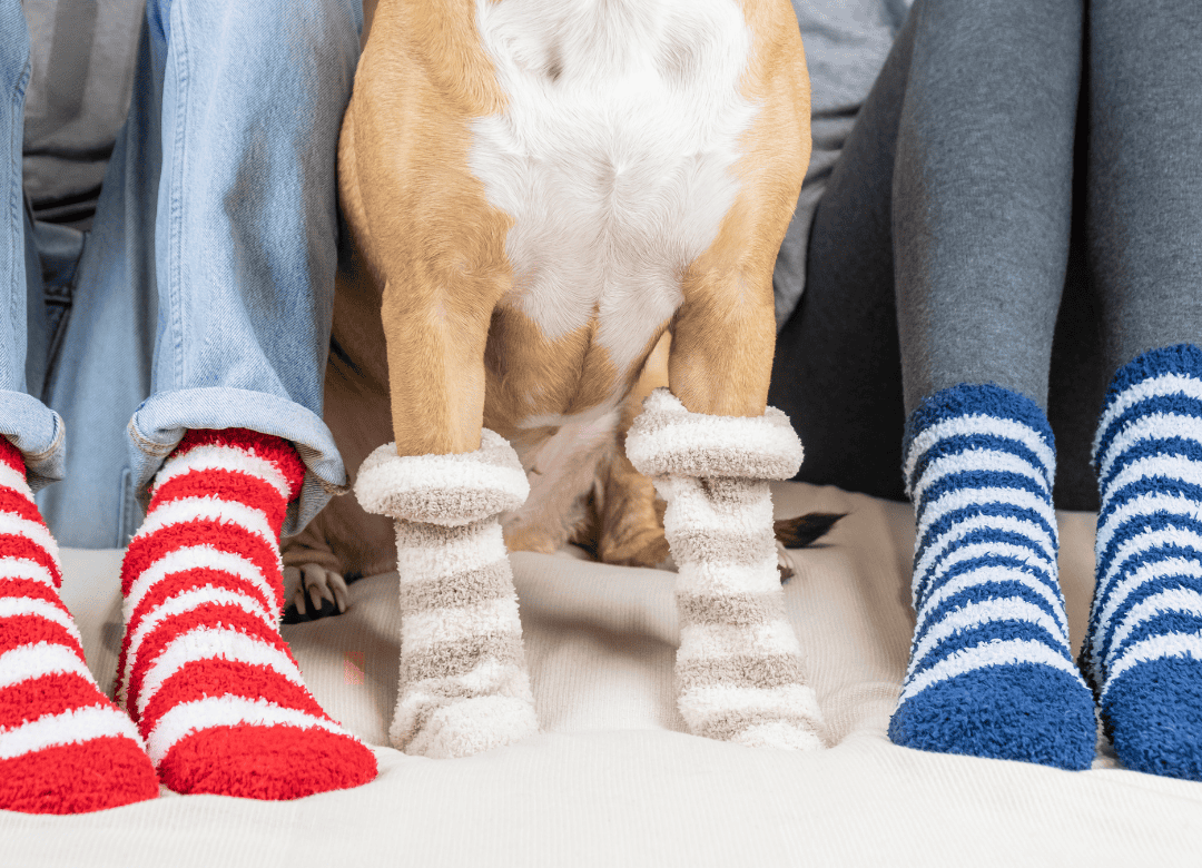 20 Great Dog Lover Gifts That Give Back: Tail-Wagging Treasures with a ...