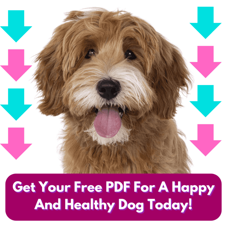 Shady Paws! How Dog Shade Saves Money! - Tail Wag Wisdom