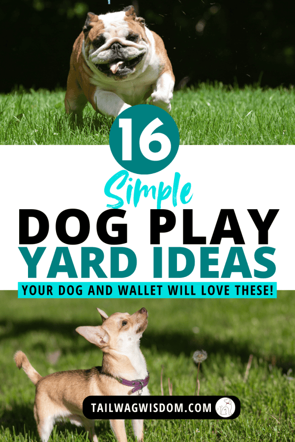 16 Dog Play Yard Ideas: Super Bark-Tastic Essentials for Your Canine ...