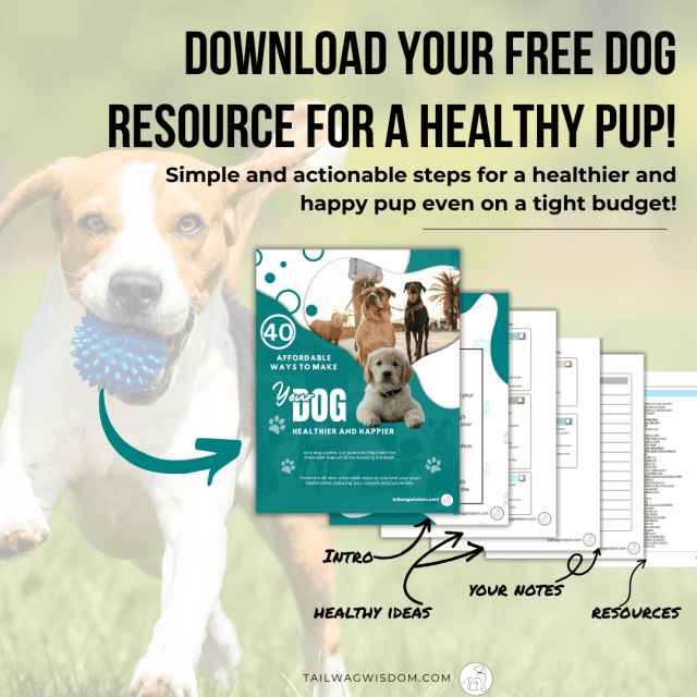 Improve Your Dog's Health On A Budget Almost Like Super Dog!
