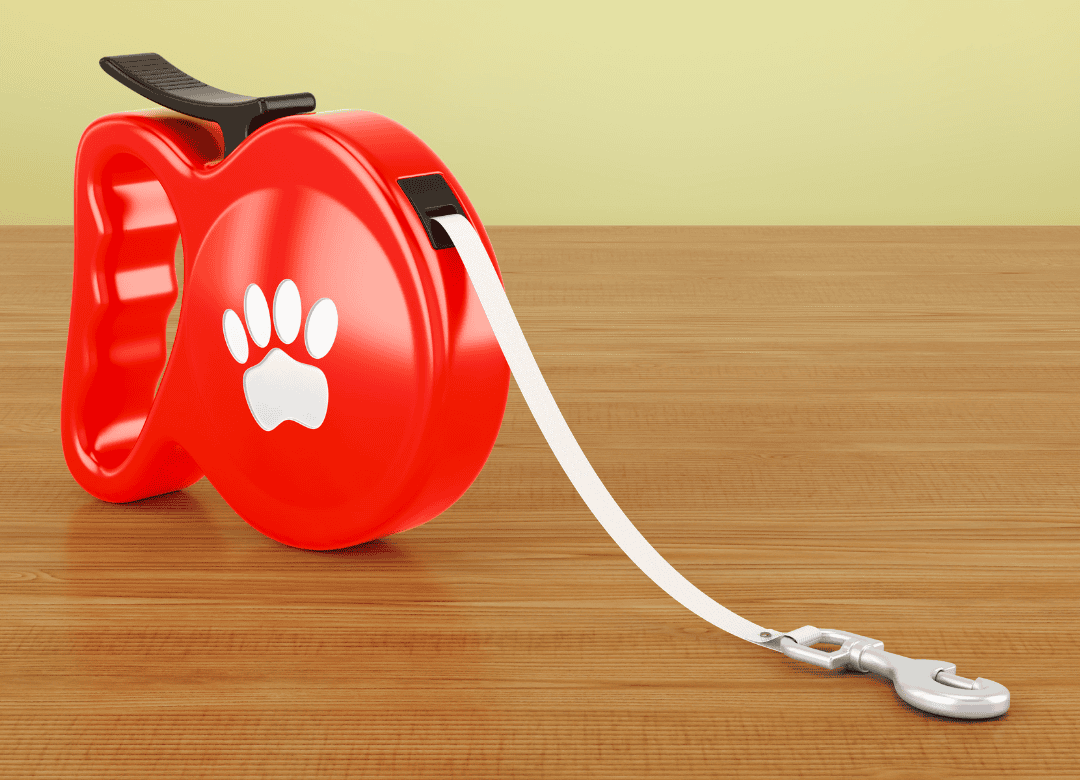 Stop Using That Retractable Leash! The Risks You Can’t Ignore