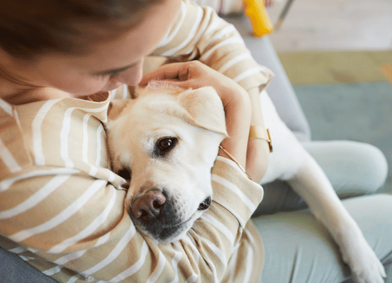 Dog Cuddle Therapy: The Coziest Way to Boost Your Mood