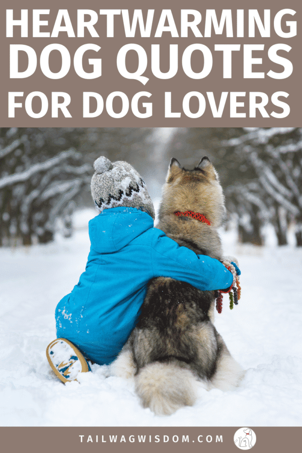 24 Dog Lover Quotes to Make You Love Your Dog More
